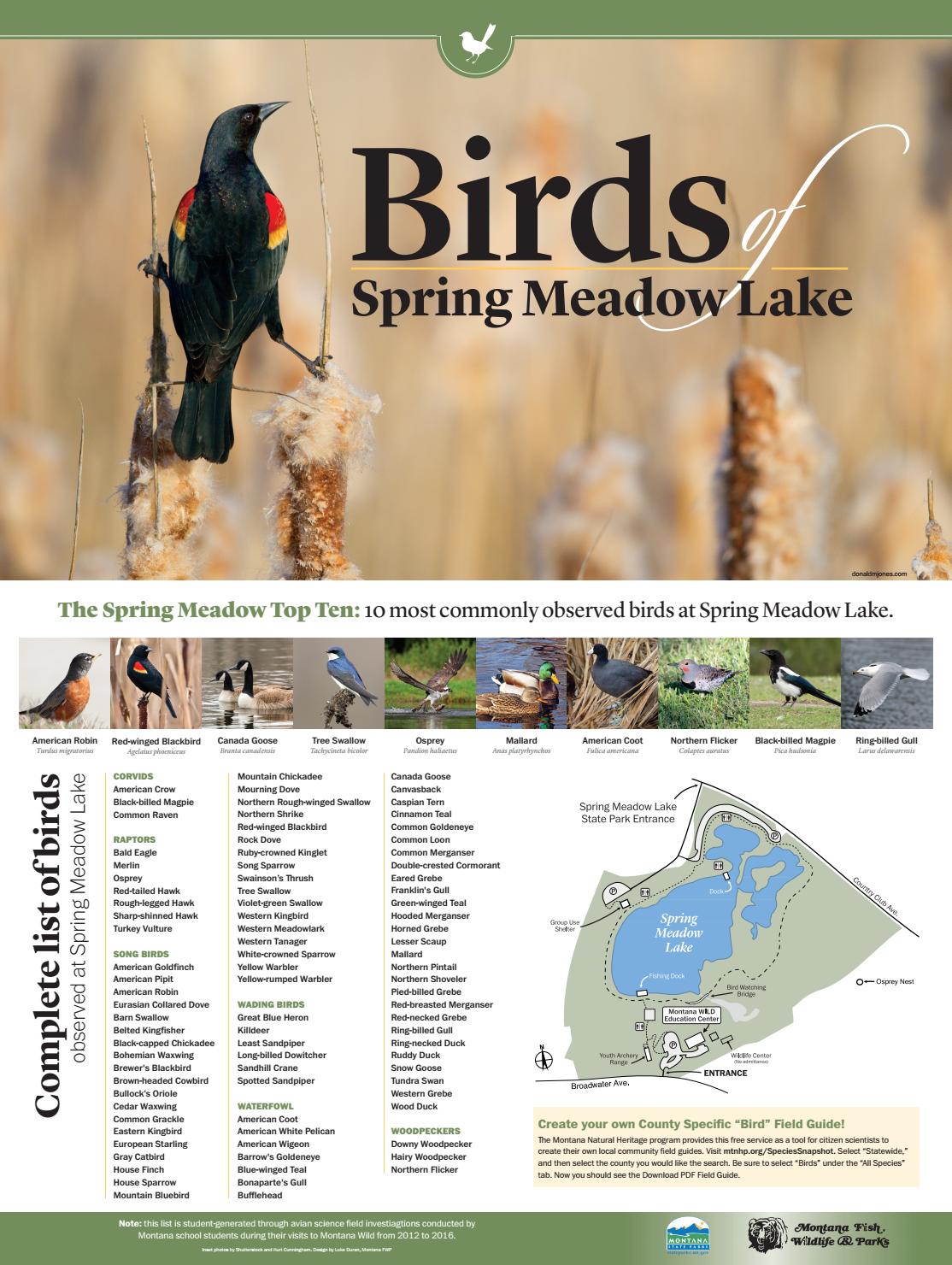 Birds of Spring Meadow Lake by Montana Outdoors - Issuu
