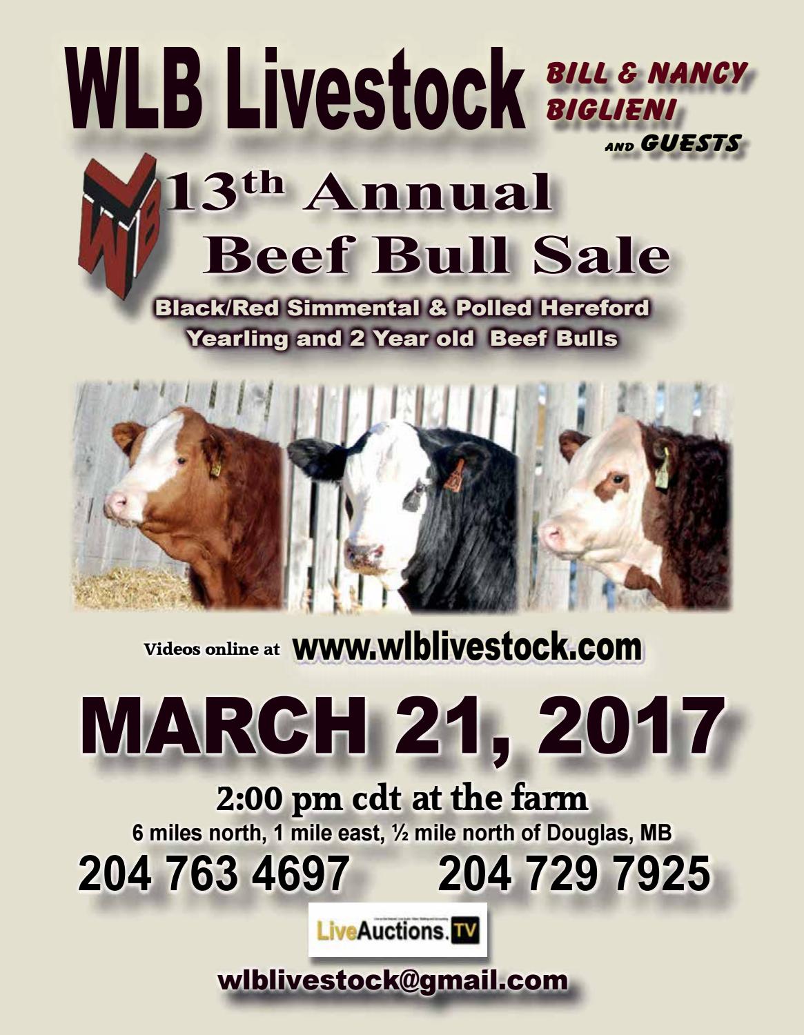 WLB Livestock Bull Sale by Today's Publishing Inc. - Issuu