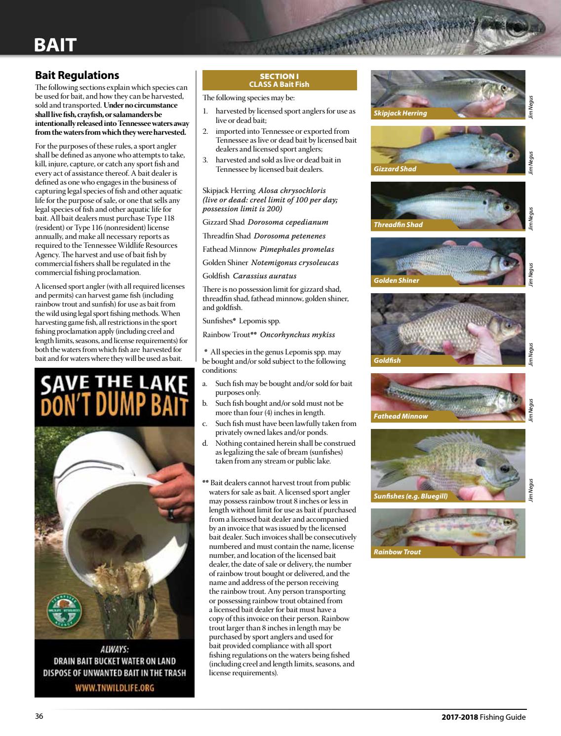 TWRA Fishing Guide 2017-2018 by Bingham Group - Issuu