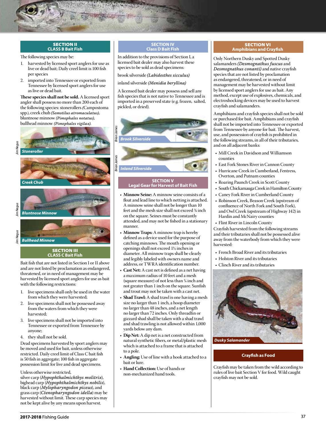 TWRA Fishing Guide 2017-2018 by Bingham Group - Issuu