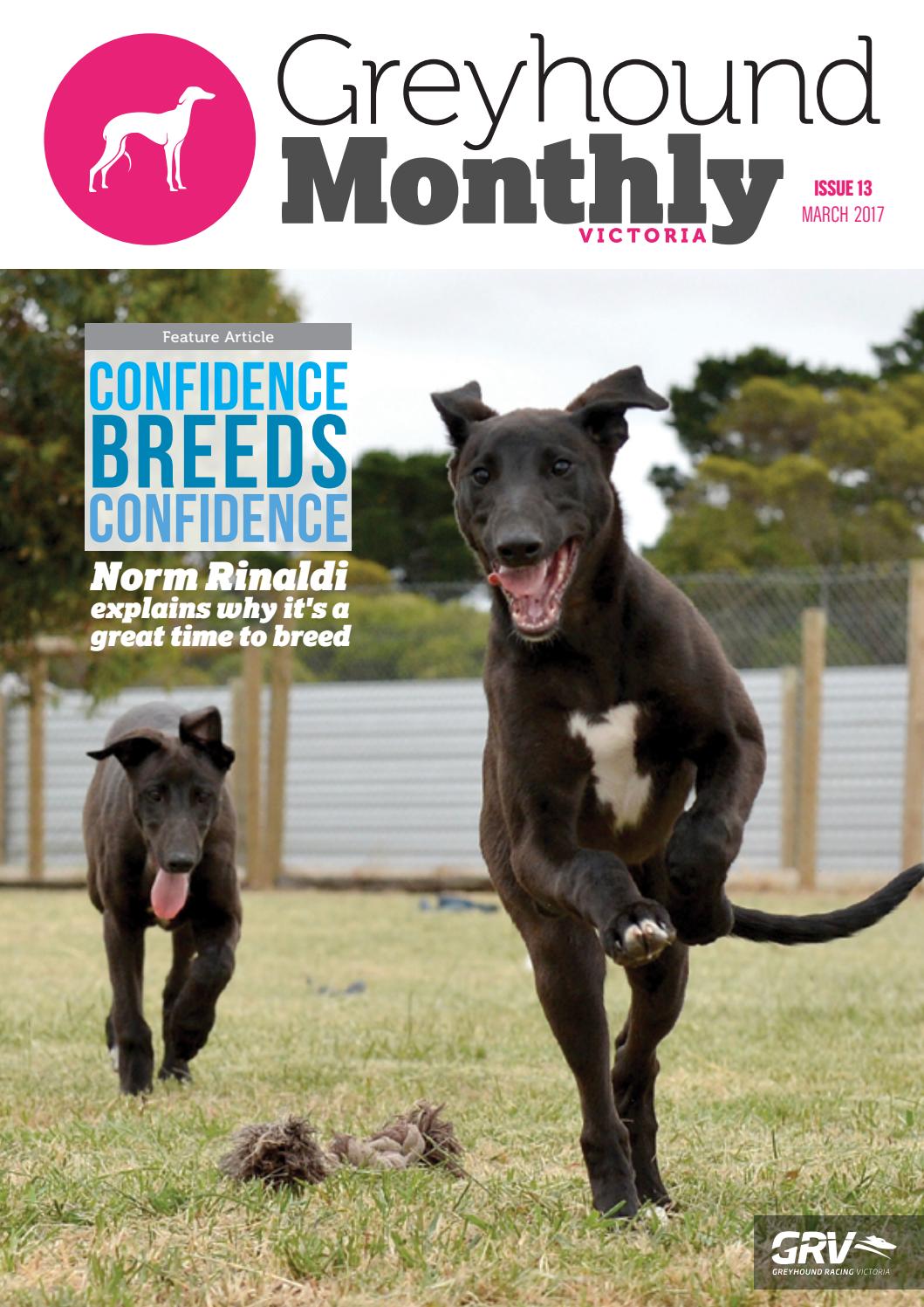 Greyhound Monthly Victoria - Issue 13 by Greyhound Racing Victoria - Issuu