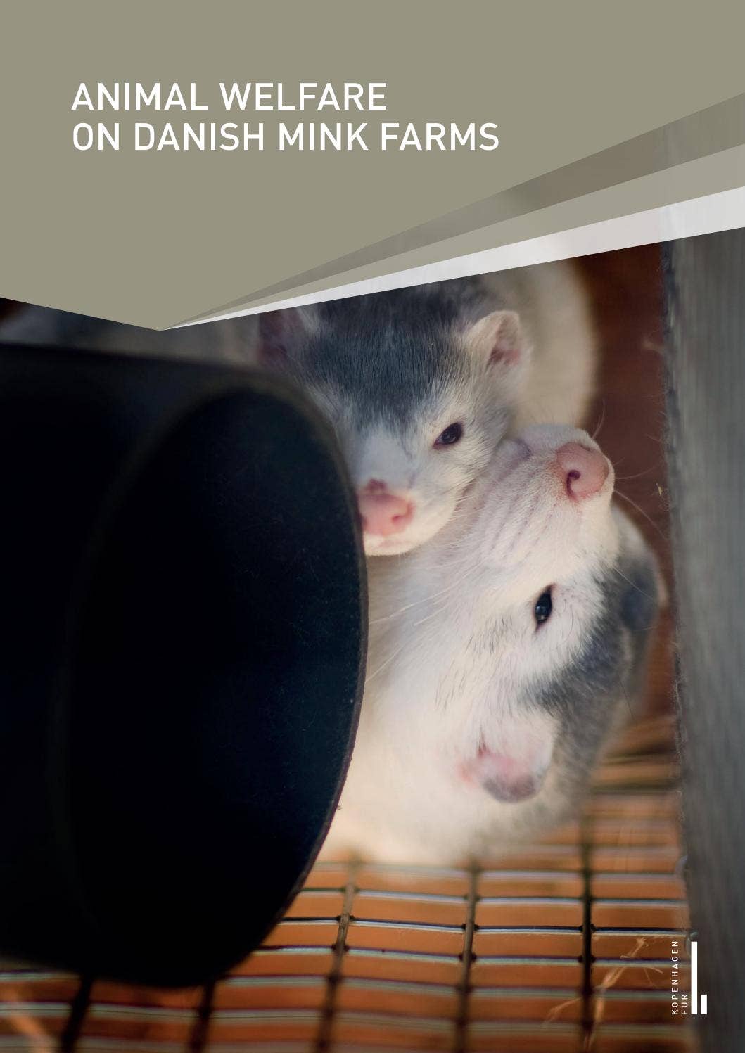 Animal Welfare on Danish Mink Farms by wearefur - Issuu