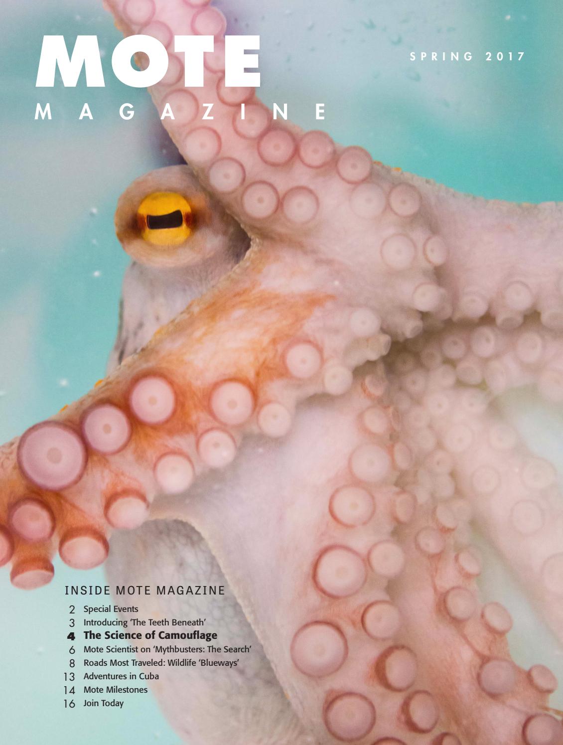 Spring 2017 Mote Magazine by Mote Marine Laboratory and Aquarium - Issuu