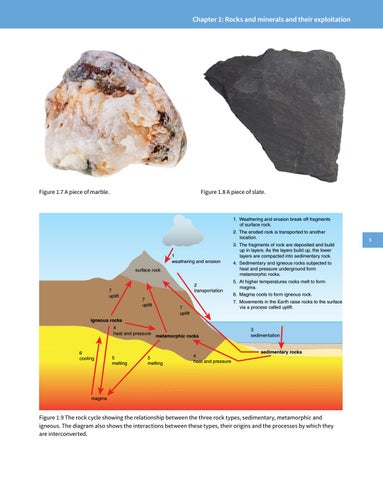 Preview Cambridge IGCSE Environmental Management Coursebook by ...