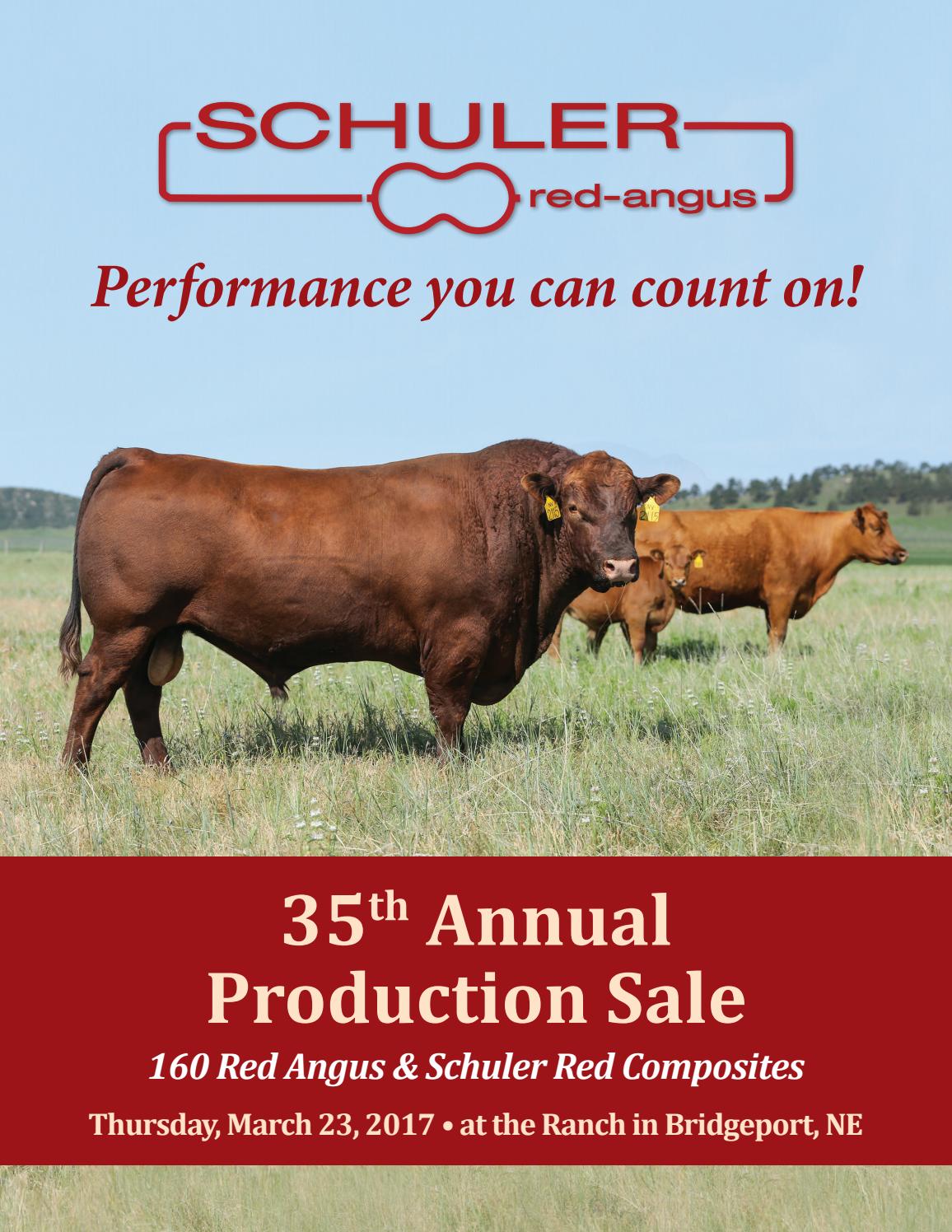 Schuler Red Angus 2017 Production Sale by LivestockDirect - Issuu