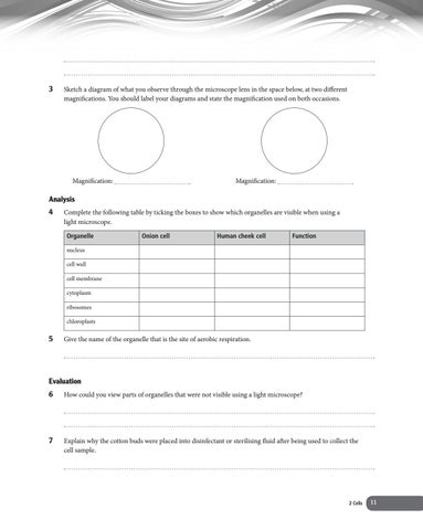 Preview Cambridge IGCSE® Biology Practical Workbook by Cambridge ...