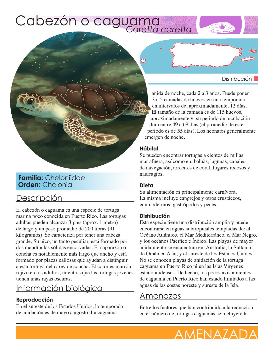Animales amenazados y en peligro de extinción en el Caribe by Puerto ...