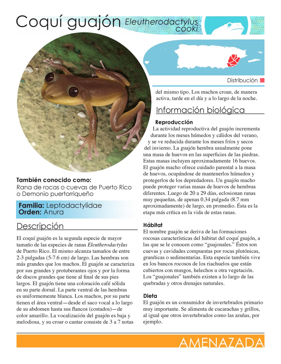 Animales amenazados y en peligro de extinción en el Caribe by Puerto ...