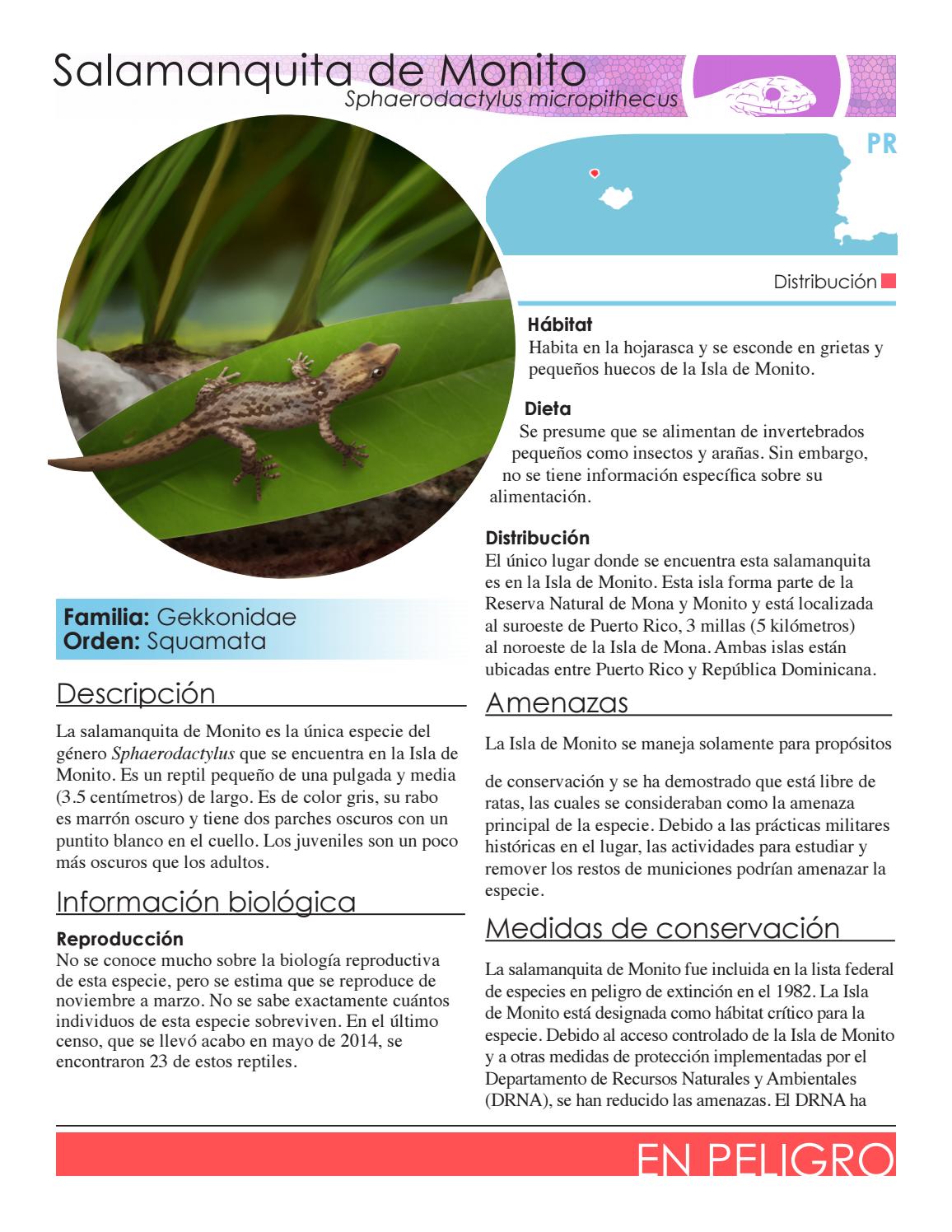 Animales amenazados y en peligro de extinción en el Caribe by Puerto ...