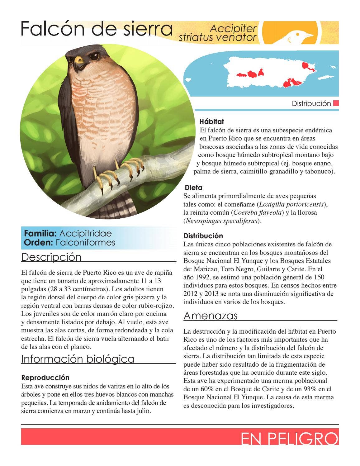 Animales amenazados y en peligro de extinción en el Caribe by Puerto ...