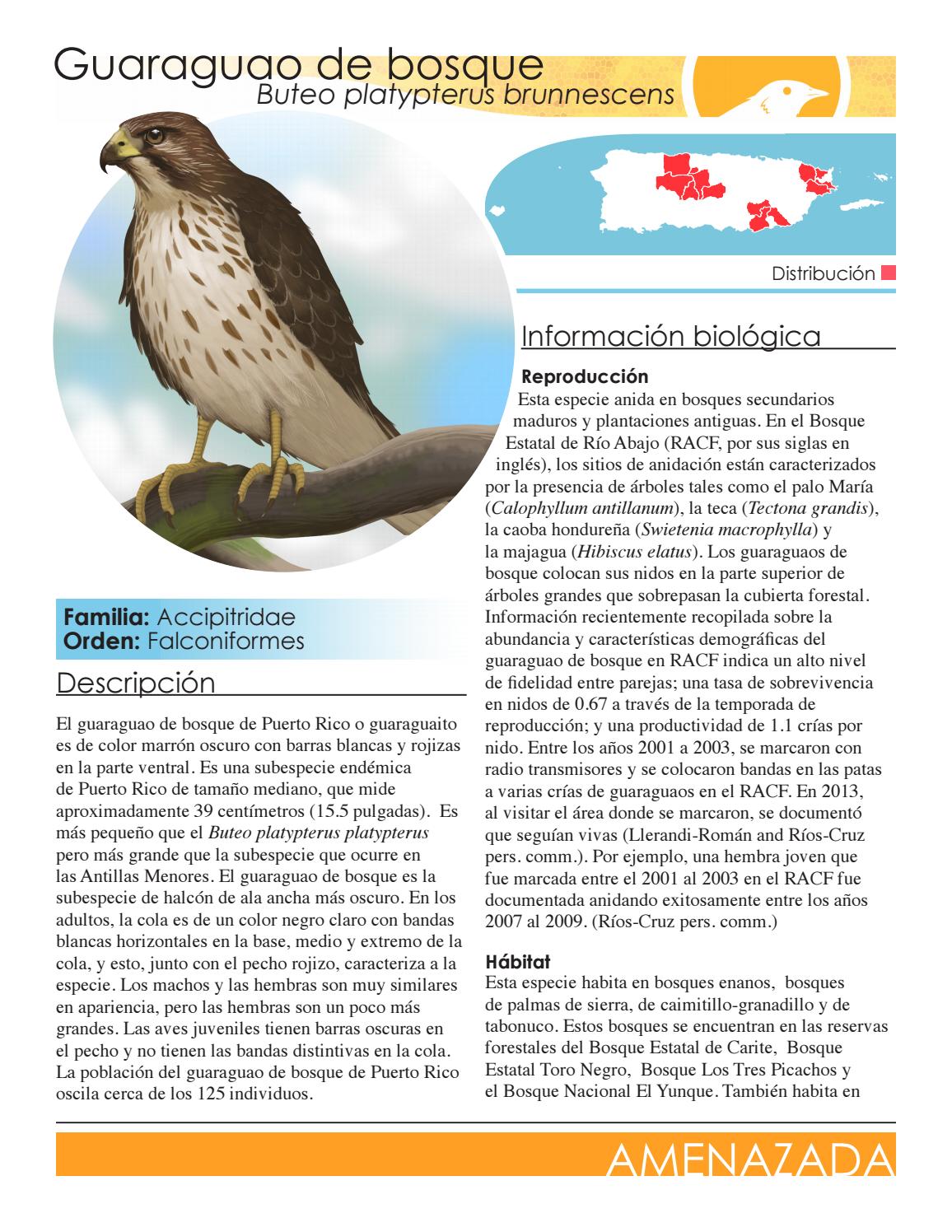 Animales amenazados y en peligro de extinción en el Caribe by Puerto ...