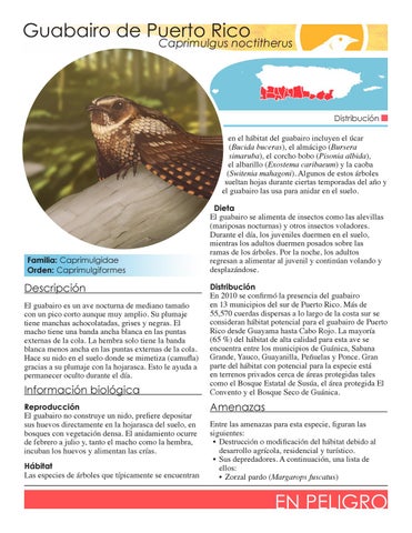 Animales amenazados y en peligro de extinción en el Caribe by Puerto ...