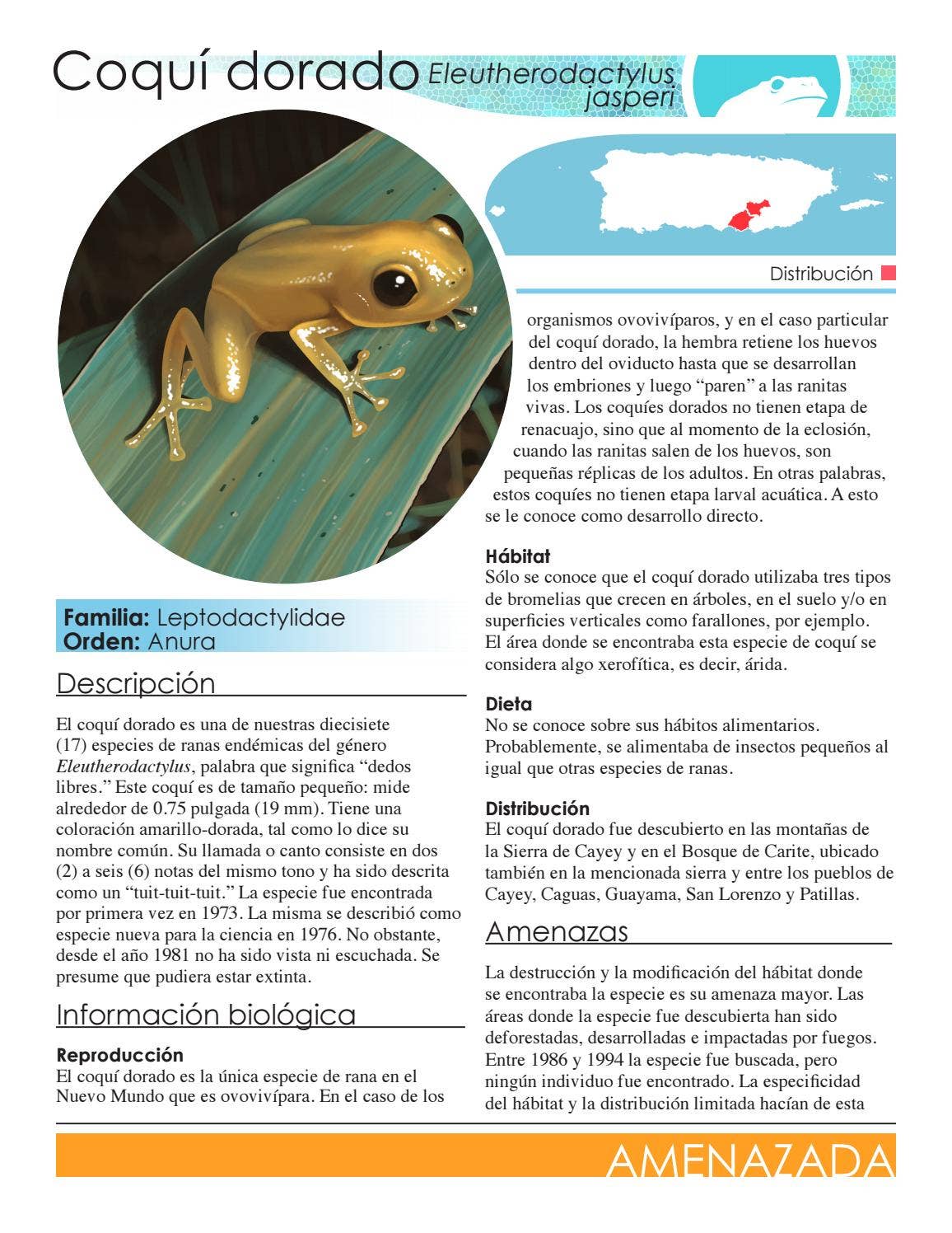 Animales amenazados y en peligro de extinción en el Caribe by Puerto ...