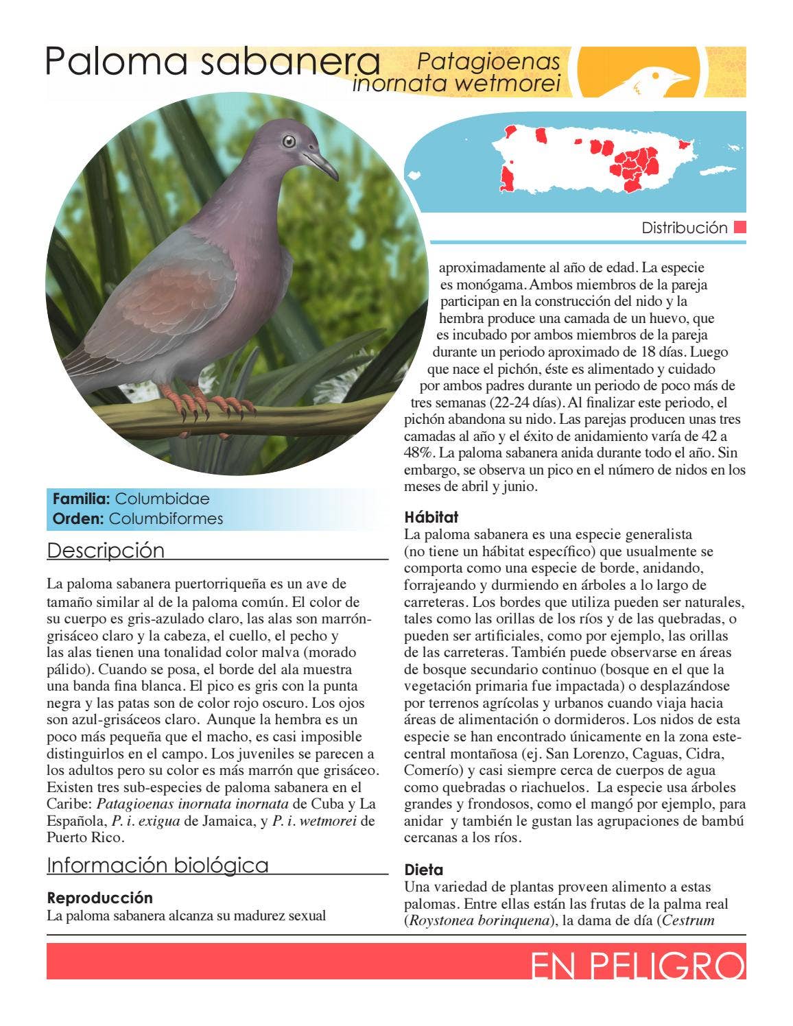 Animales amenazados y en peligro de extinción en el Caribe by Puerto ...