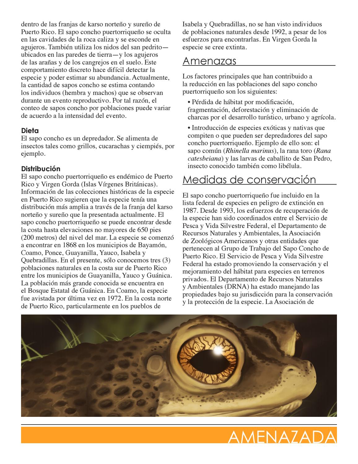 Animales amenazados y en peligro de extinción en el Caribe by Puerto ...