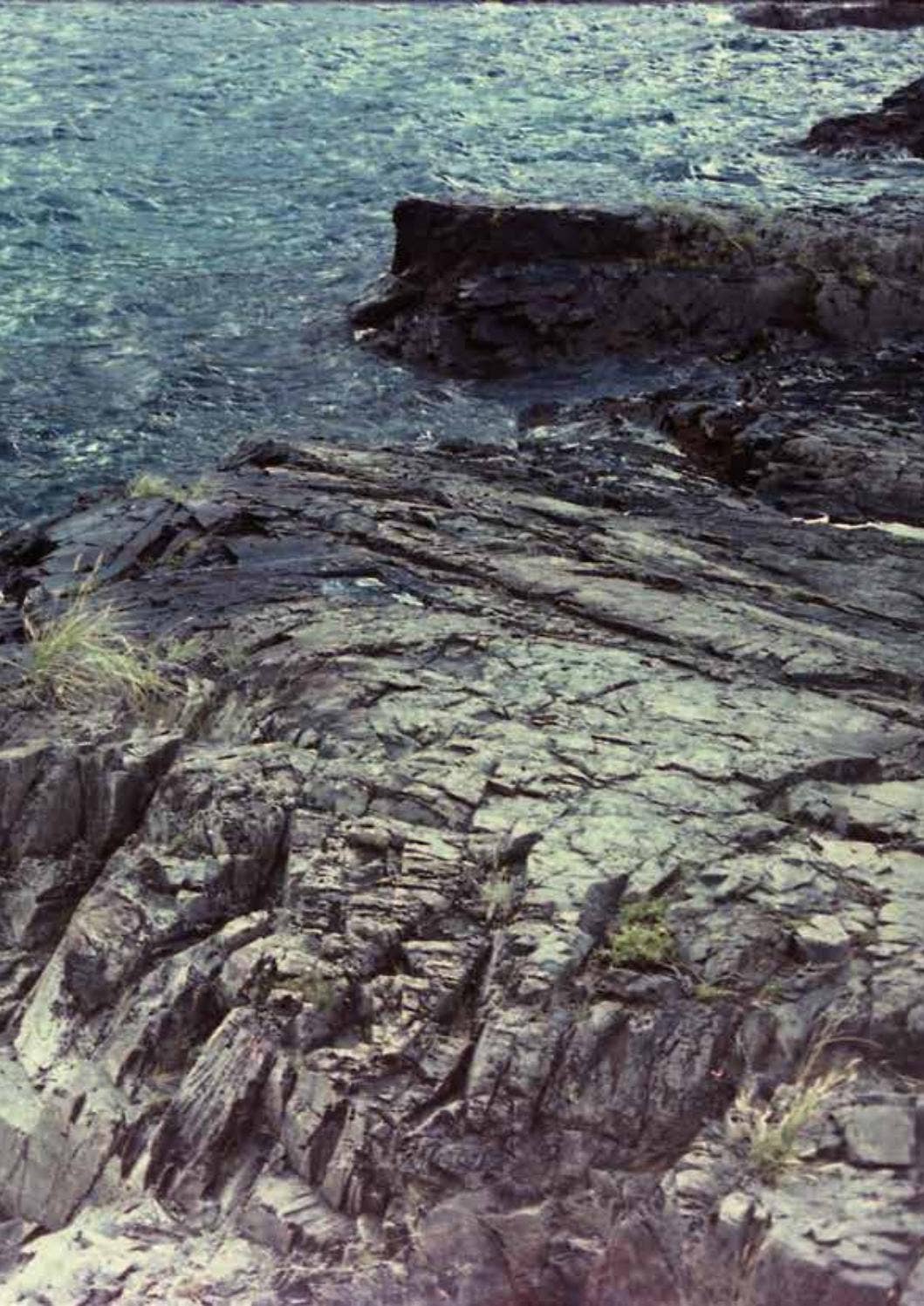 Catexia by Guxor - Issuu