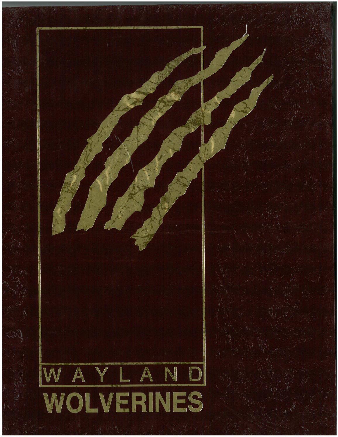 Wayland Academy 1995 Yearbook by Wayland Academy - Issuu