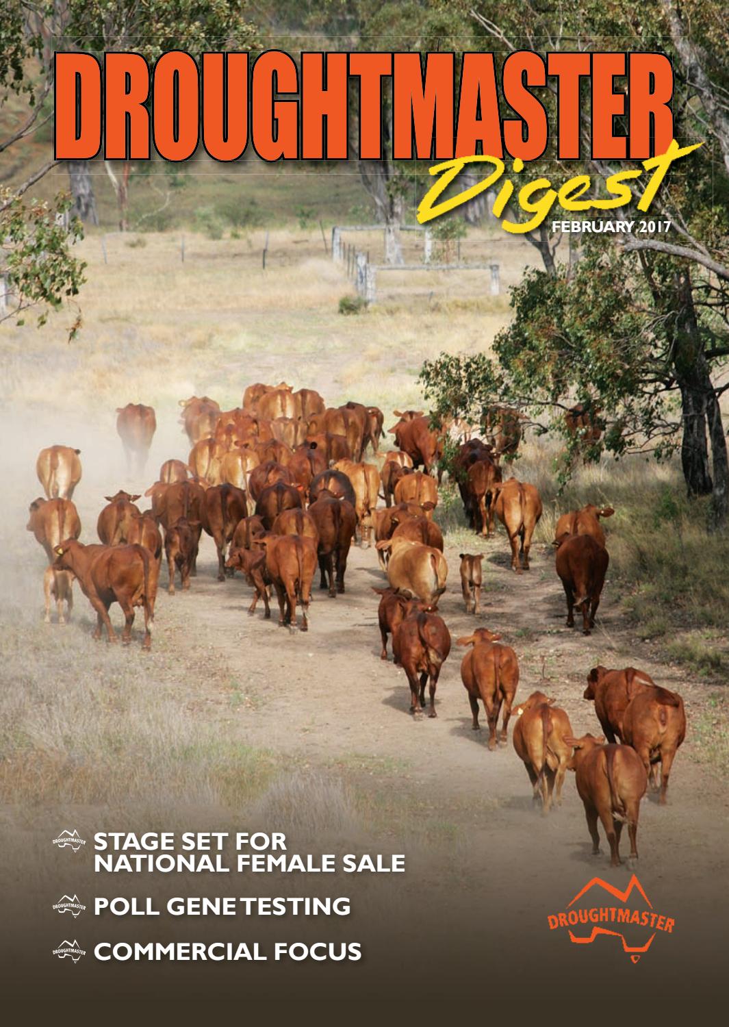 Droughtmaster feb 2017 edition web by Droughtmaster Australia - Issuu