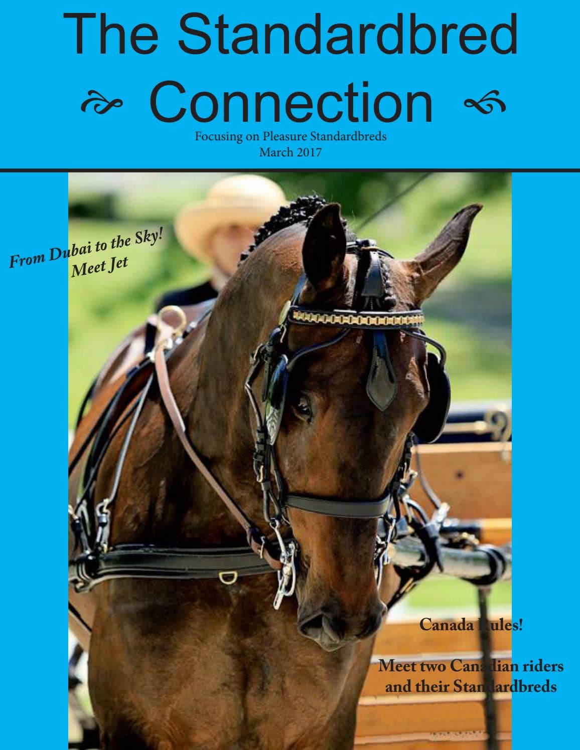 The Standardbred Connection March 2017 by The Standardbred Connection ...