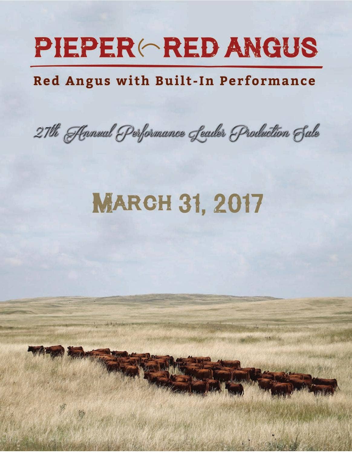 Pieper Red Angus 27th Annual Performance Leader Production Sale by ...