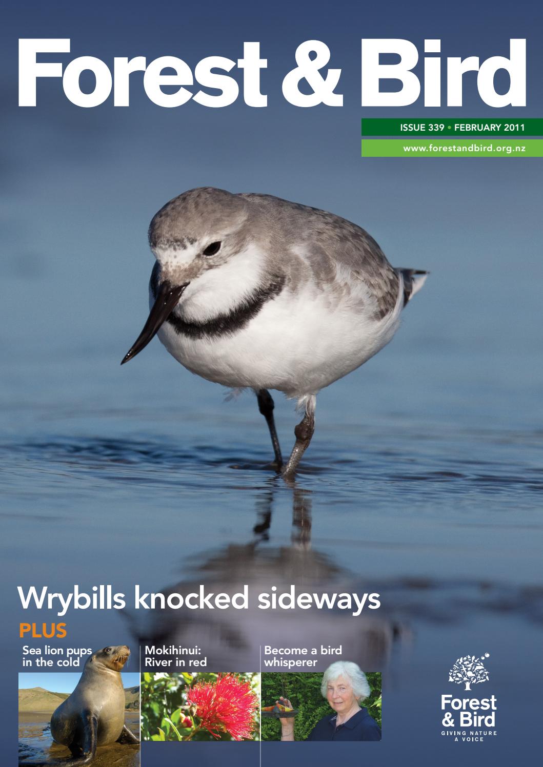 Forest & Bird Magazine 339 Feb 2011 by Forest & Bird - Issuu