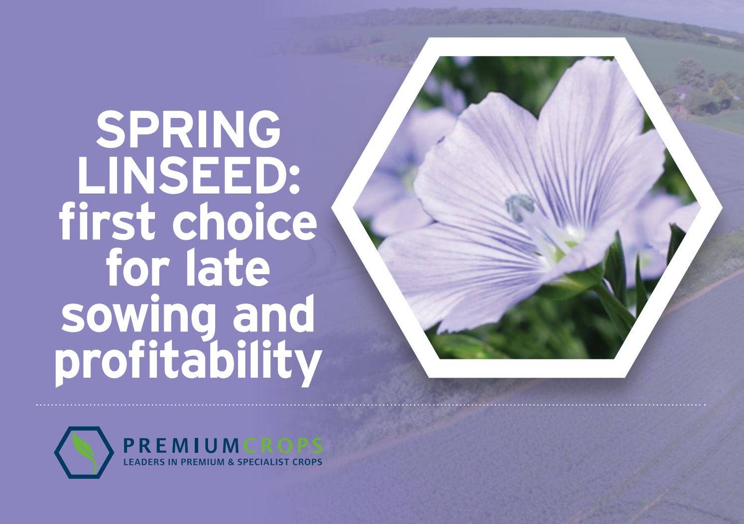 Premium crops a5 4pp spring linseed march 2017 by Premium Crops - Issuu