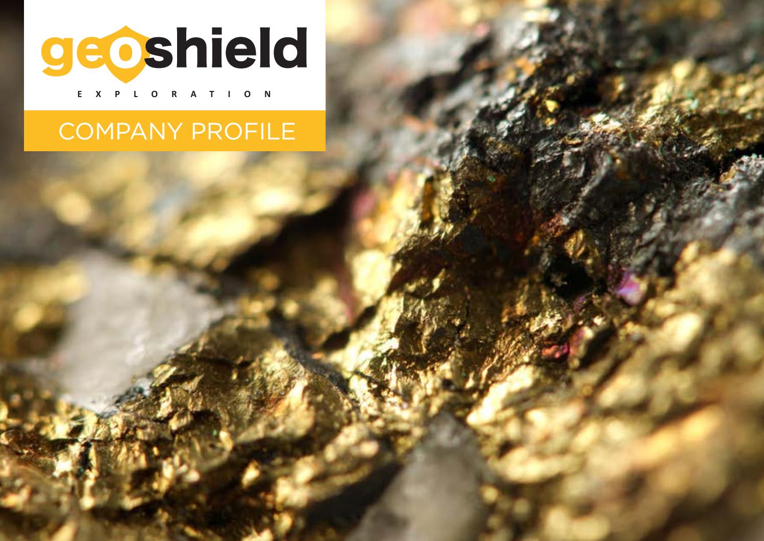 Geoshield Company Profile by Kwame Gyanko - Issuu