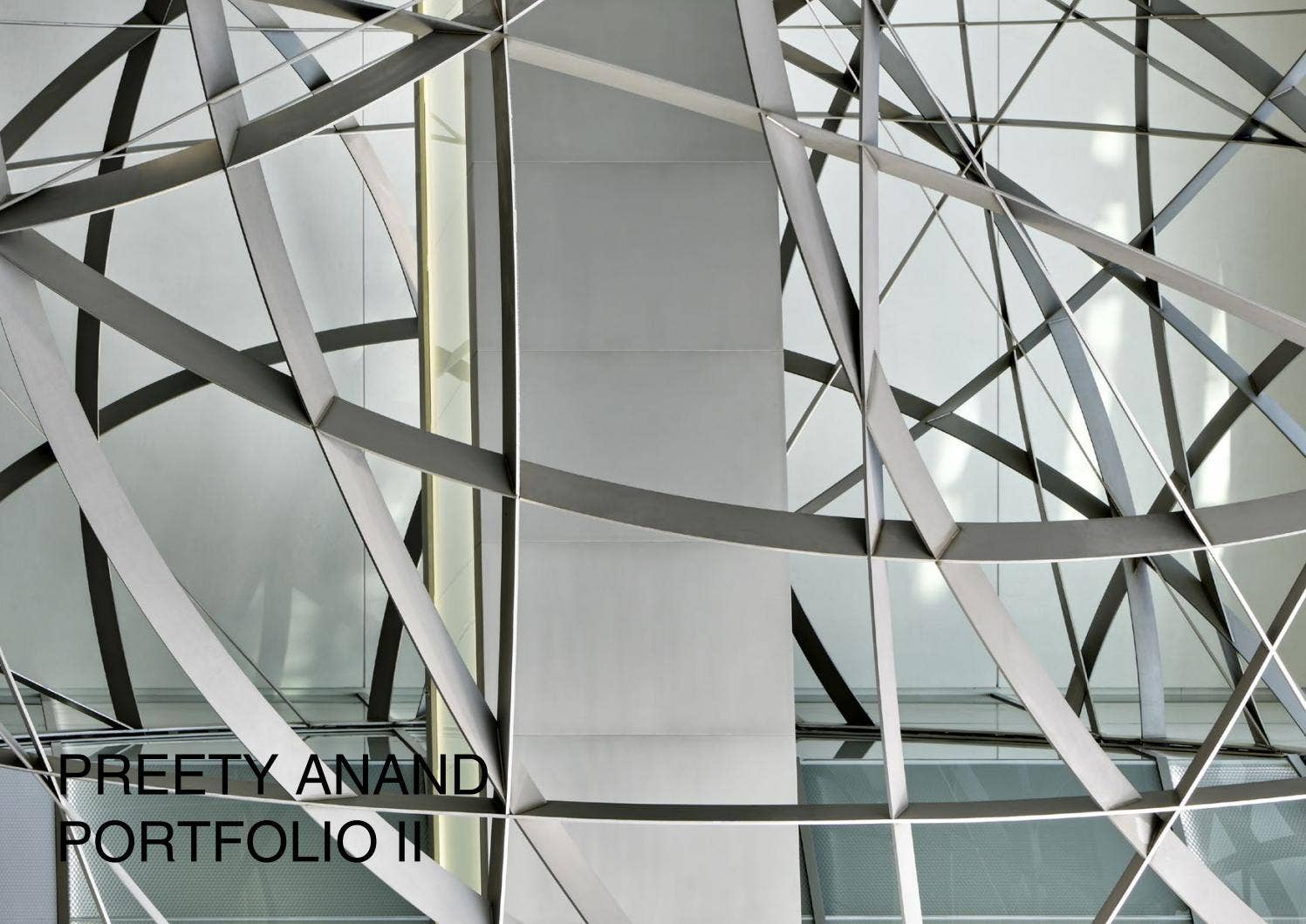 Portfolio Preety Anand: Professional work experience by P Anand - Issuu