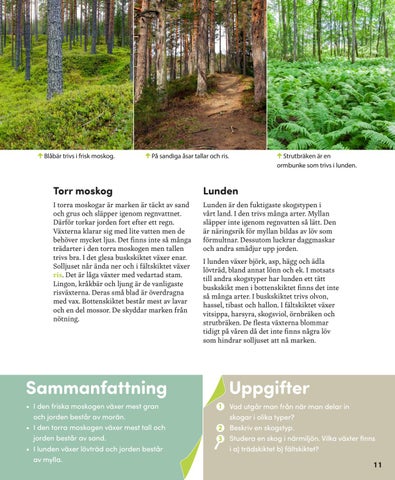 Omvärlden 5 Textbok blädderex by Schildts & Söderströms - Issuu