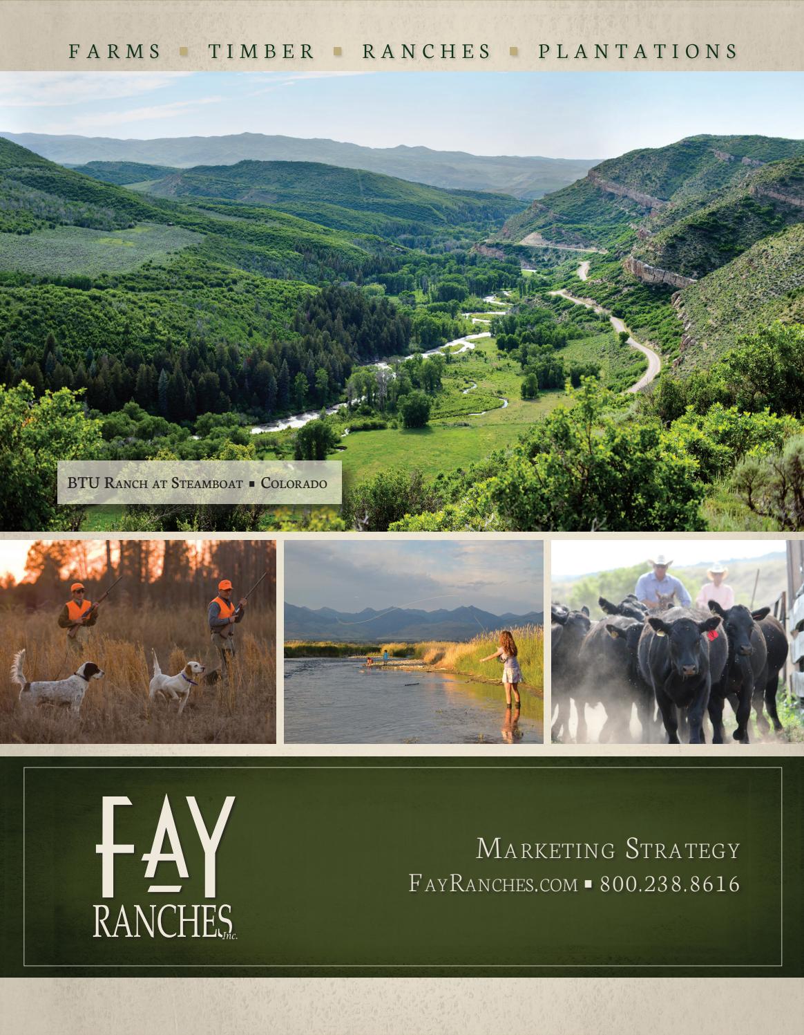 Fay Ranches Marketing Strategy by Fay Ranches - Issuu