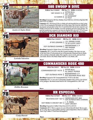 2017 Midwest Longhorn Sale Catalog by Texas Longhorn Trails Magazine ...