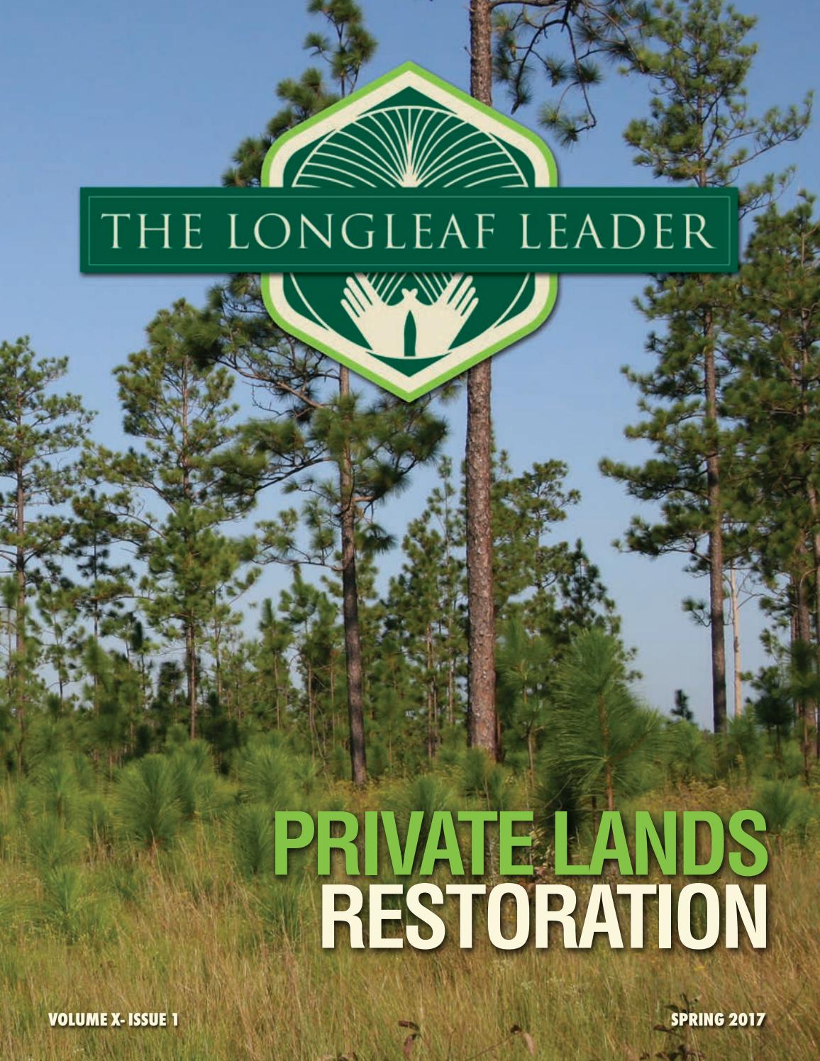 The Longleaf Leader - Spring 2017 by The Longleaf Alliance - Issuu