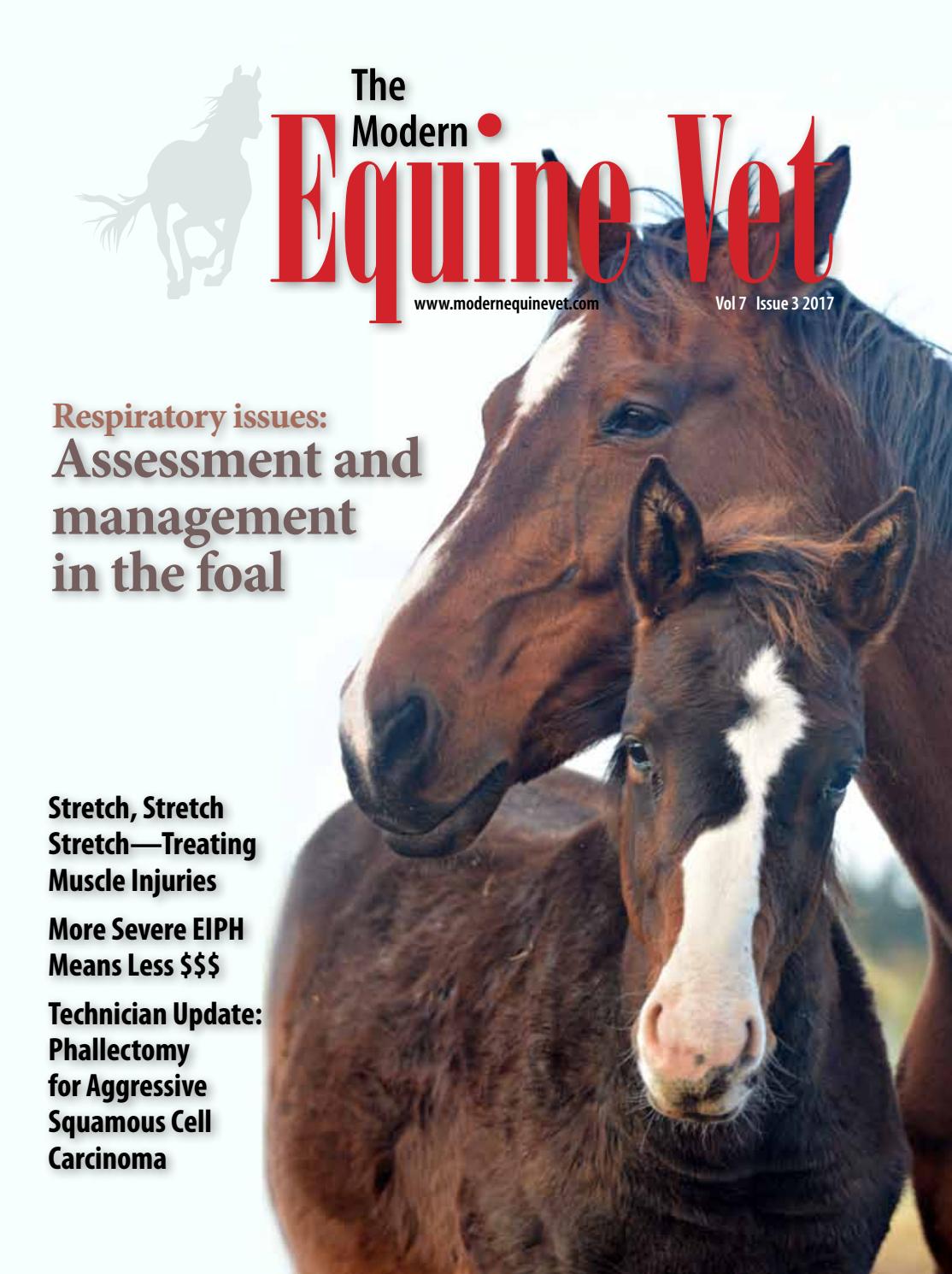 The Modern Equine Vet March 2017 by The Modern Equine Vet - Issuu
