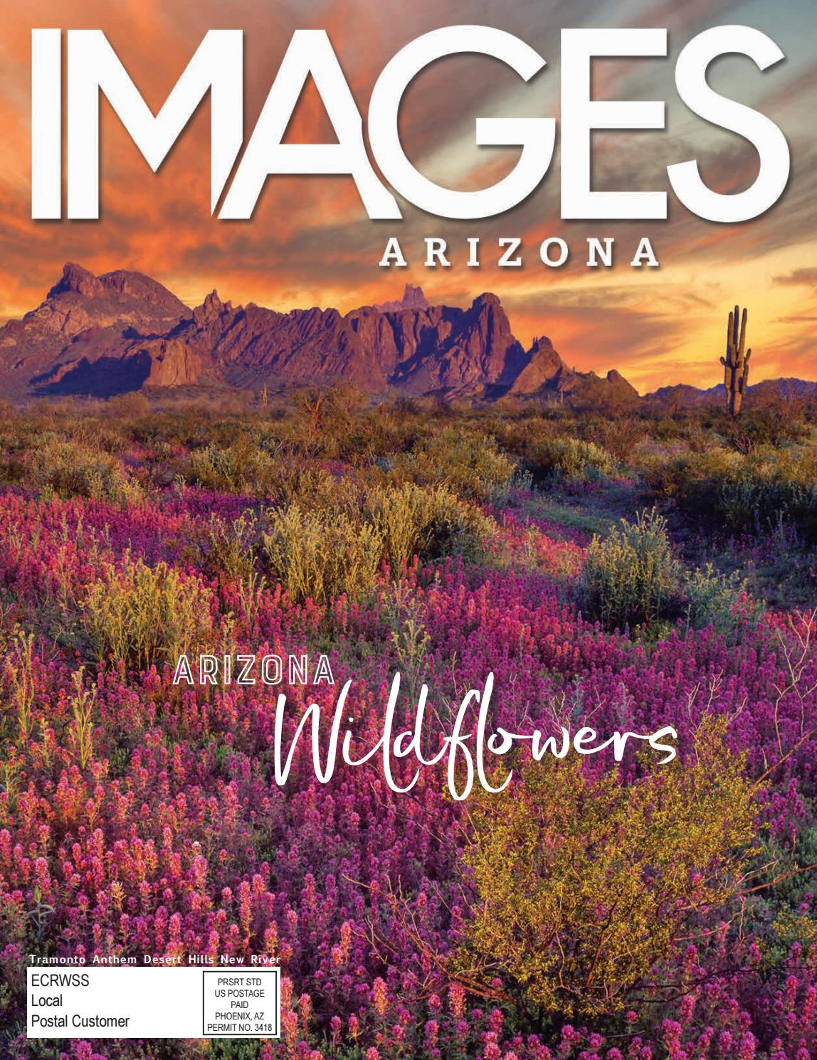 Images Arizona: Anthem March 2017 Issue by Images Arizona Magazine - Issuu