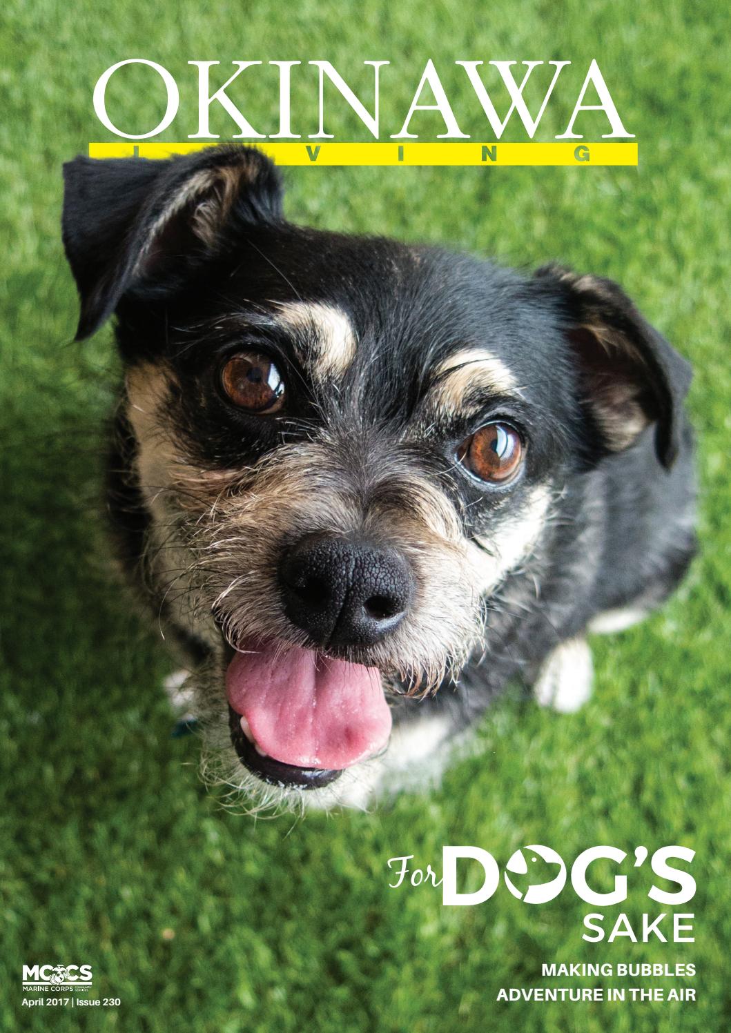 Okinawa Living Magazine by MCCS Okinawa - Issuu