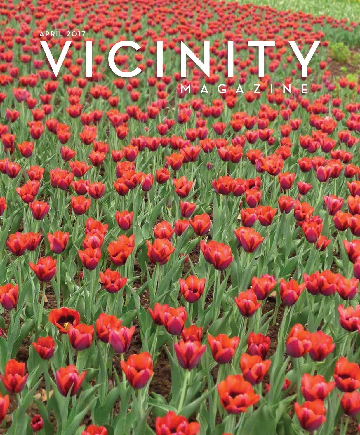 Vicinity Magazine by Vicinity Media Group - Issuu