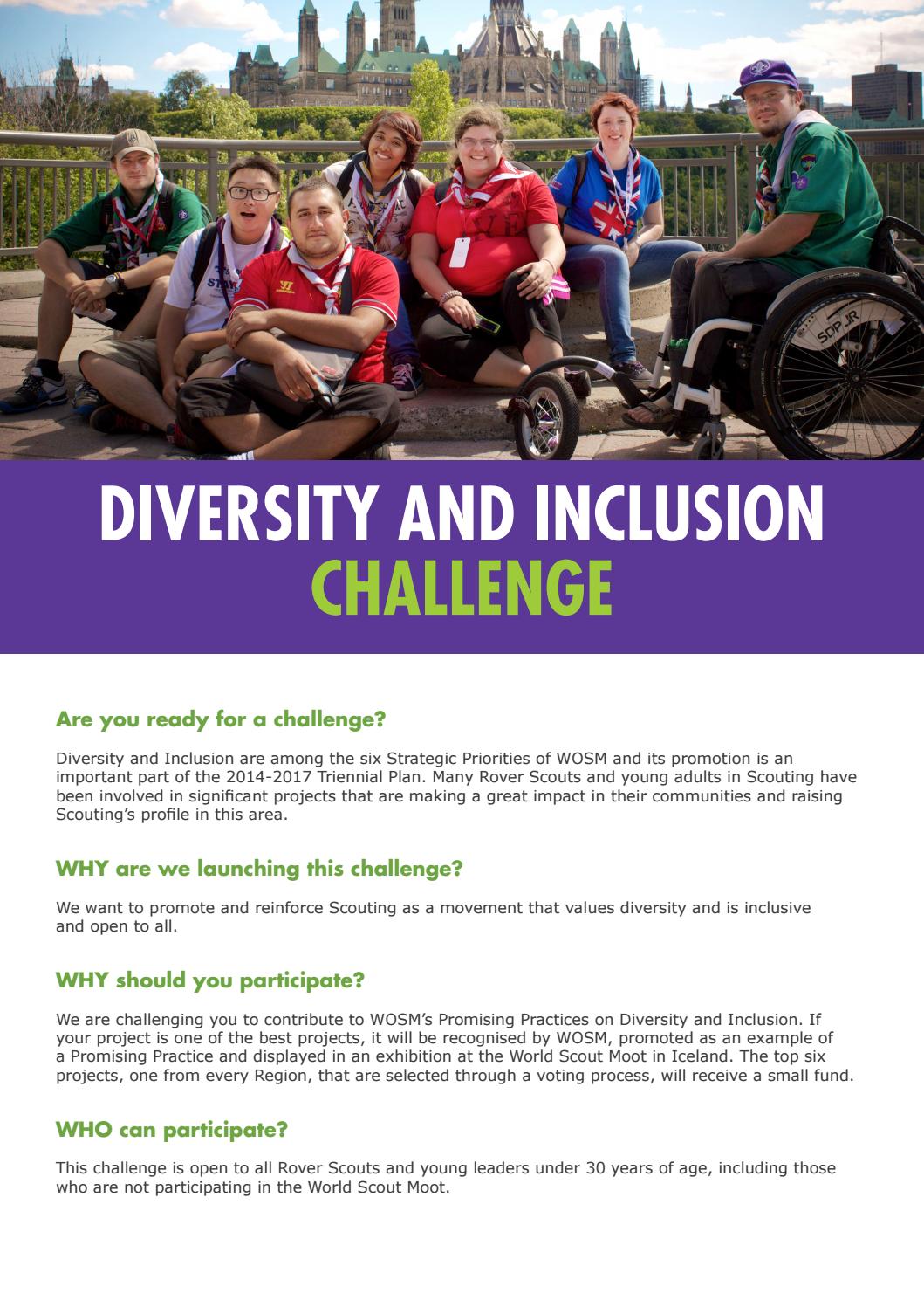 Diversity and Inclusion Challenge by World Organization of the Scout ...
