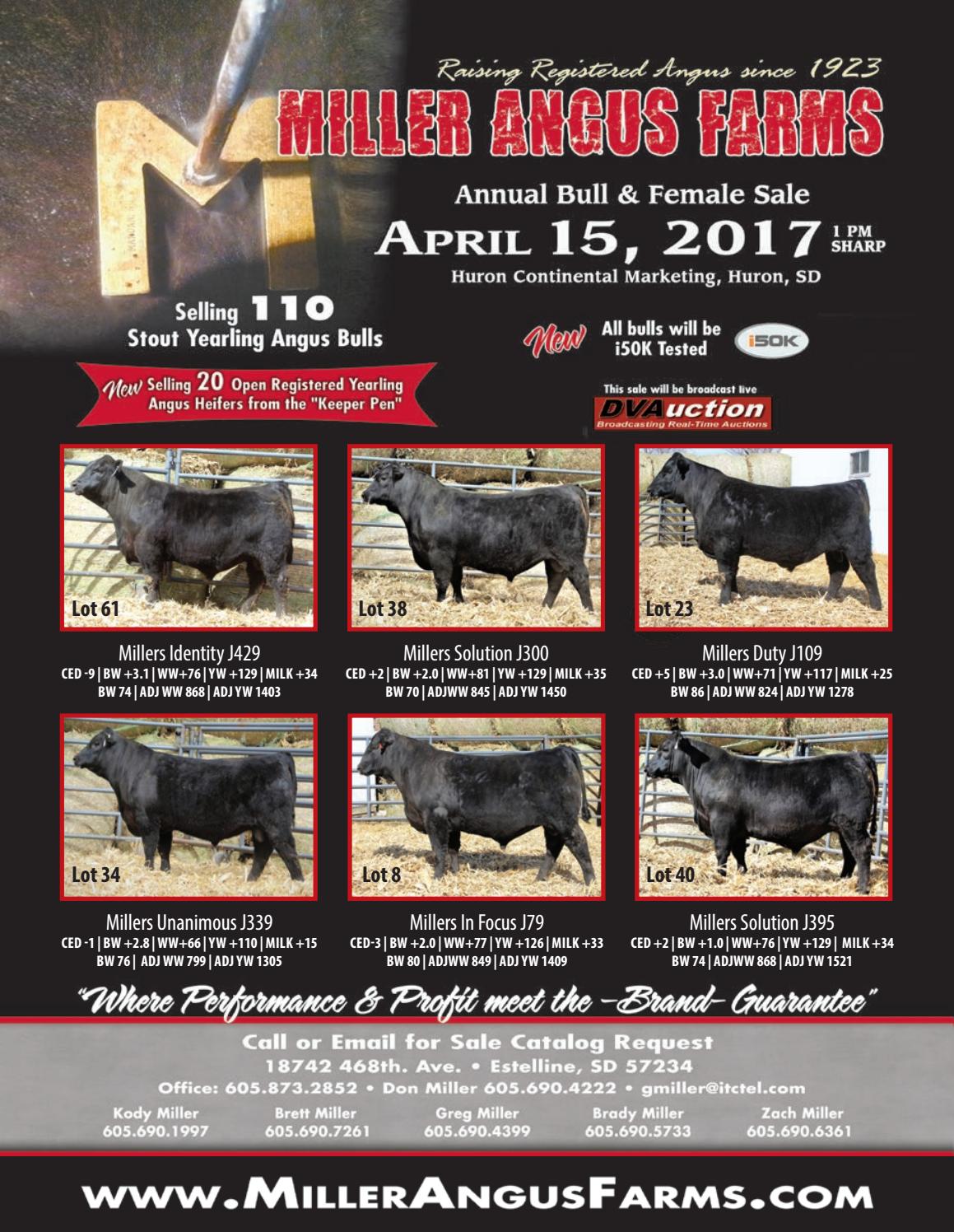 Miller Angus Farms Bull & Female Sale | April 15, 2017 by Tri-State ...
