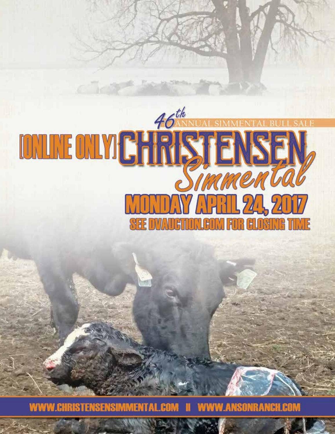 Christensen Simmental 46th Annual Production [ONLINE ONLY] Sale by Cam ...