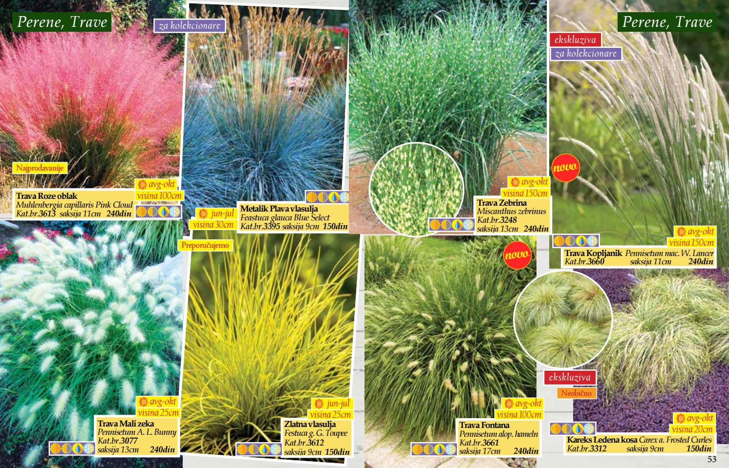 Flora ekspres katalog cveća proleće leto 2017 by Catalog.rs - Issuu