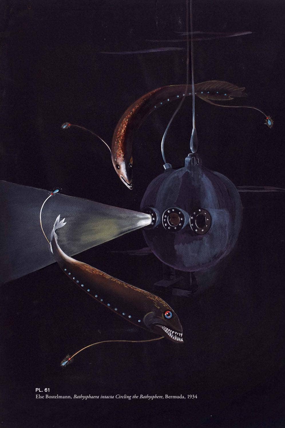 Exploratory Works: Drawings from the Department of Tropical Research ...