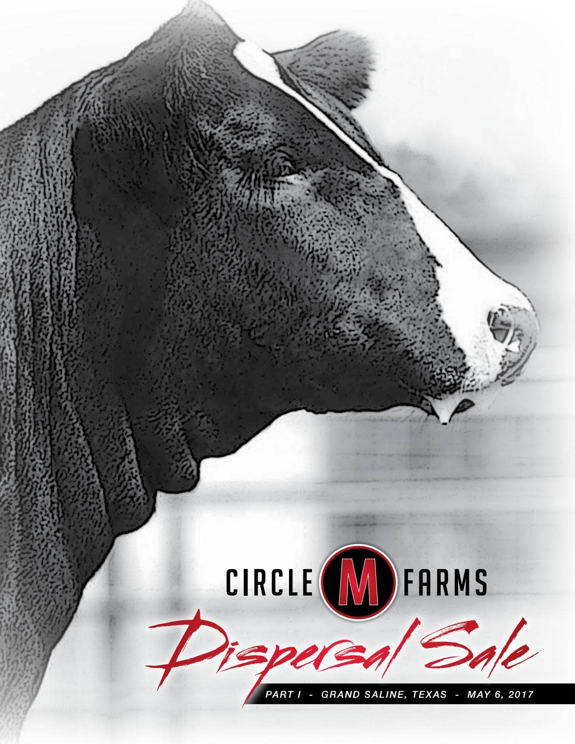 Circle M Farms Dispersal Sale Part I by Megan Favorite - Issuu