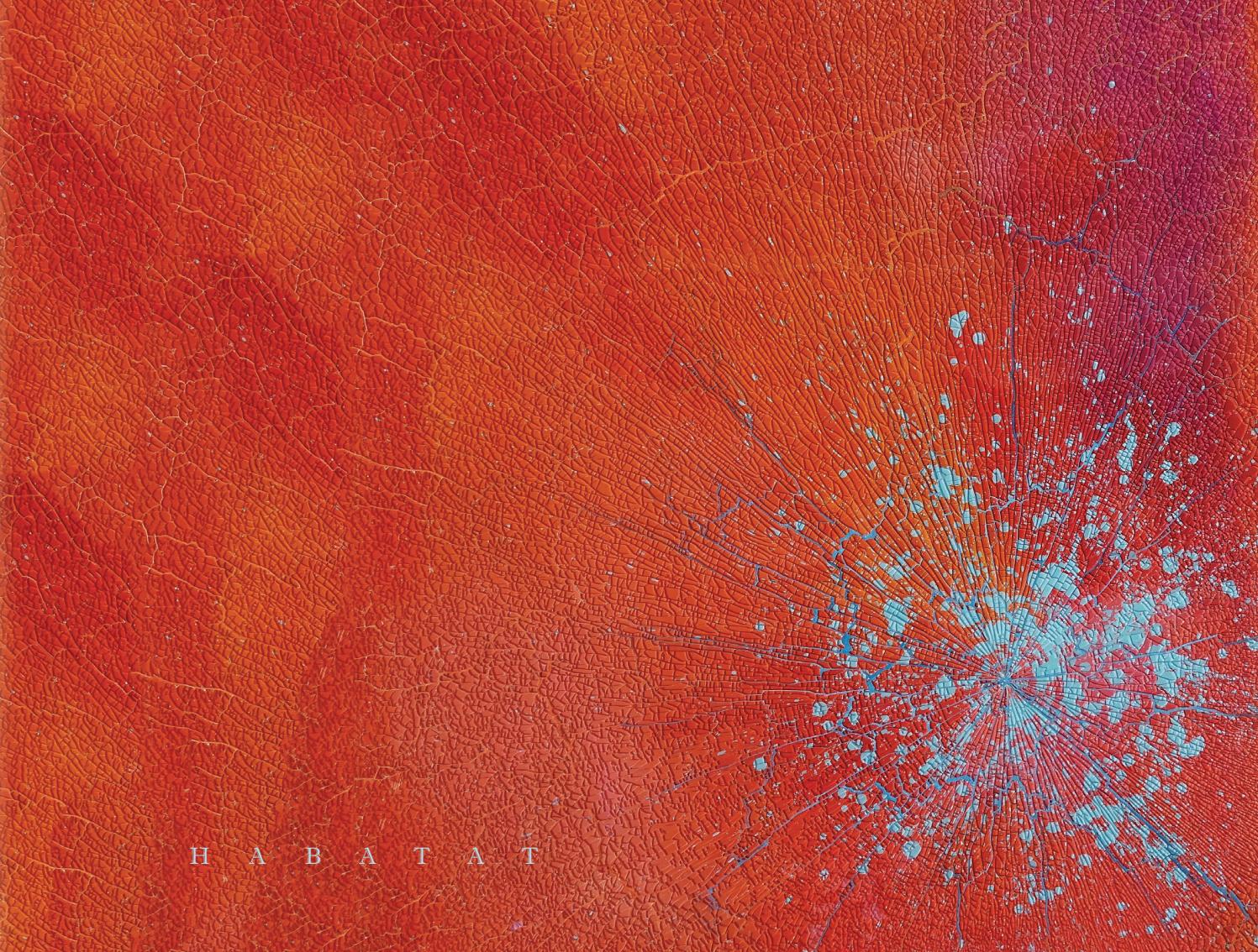 NEXT Habatat 45th Glass International Catalog by Habatat Galleries - Issuu