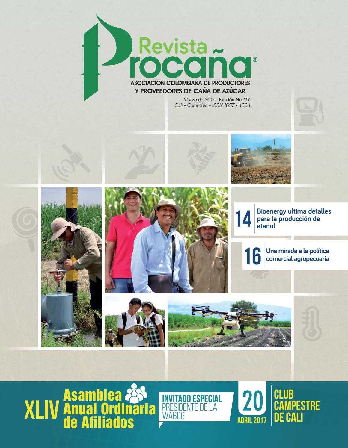 Revista Procana 117 by Procaña - Issuu