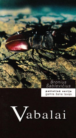 Vabalai 2001 by tomas r - Issuu
