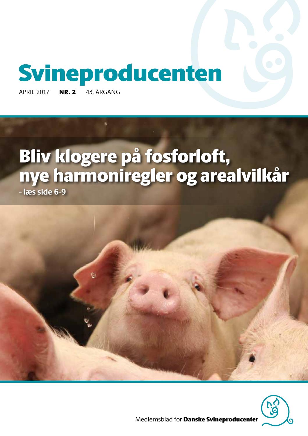 Svineproducenten april 2017 by Danske Svineproducenter - Issuu