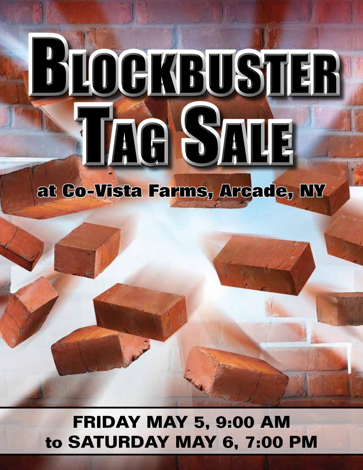 Blockbuster tag sale 5 5 17 & 5 6 17 by Daniel Brandt - Issuu