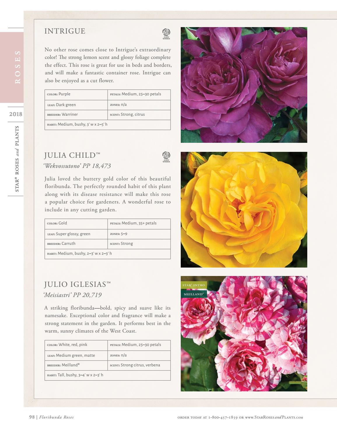 2018 Star® Roses and Plants Catalog by Star® Roses and Plants - Issuu