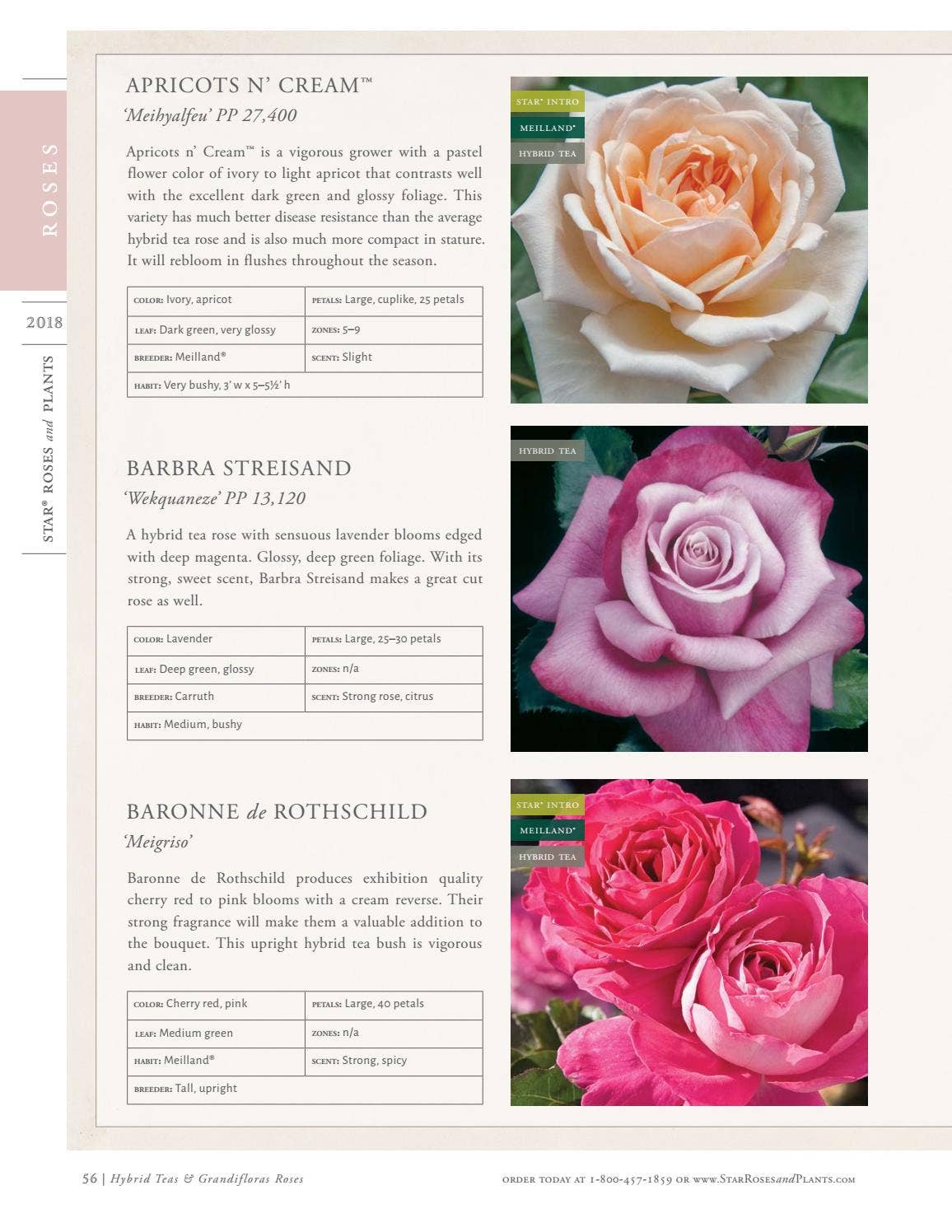 2018 Star® Roses and Plants Catalog by Star® Roses and Plants - Issuu