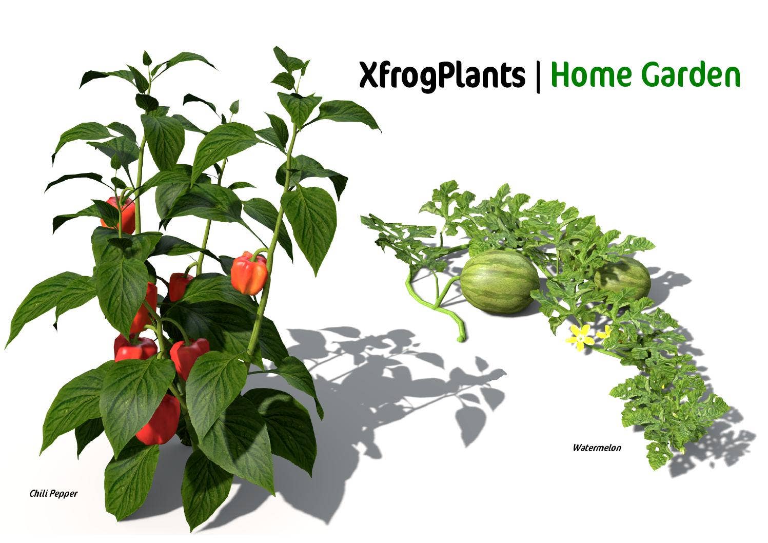 Homegarden xfrogplants en by XFROG - Issuu